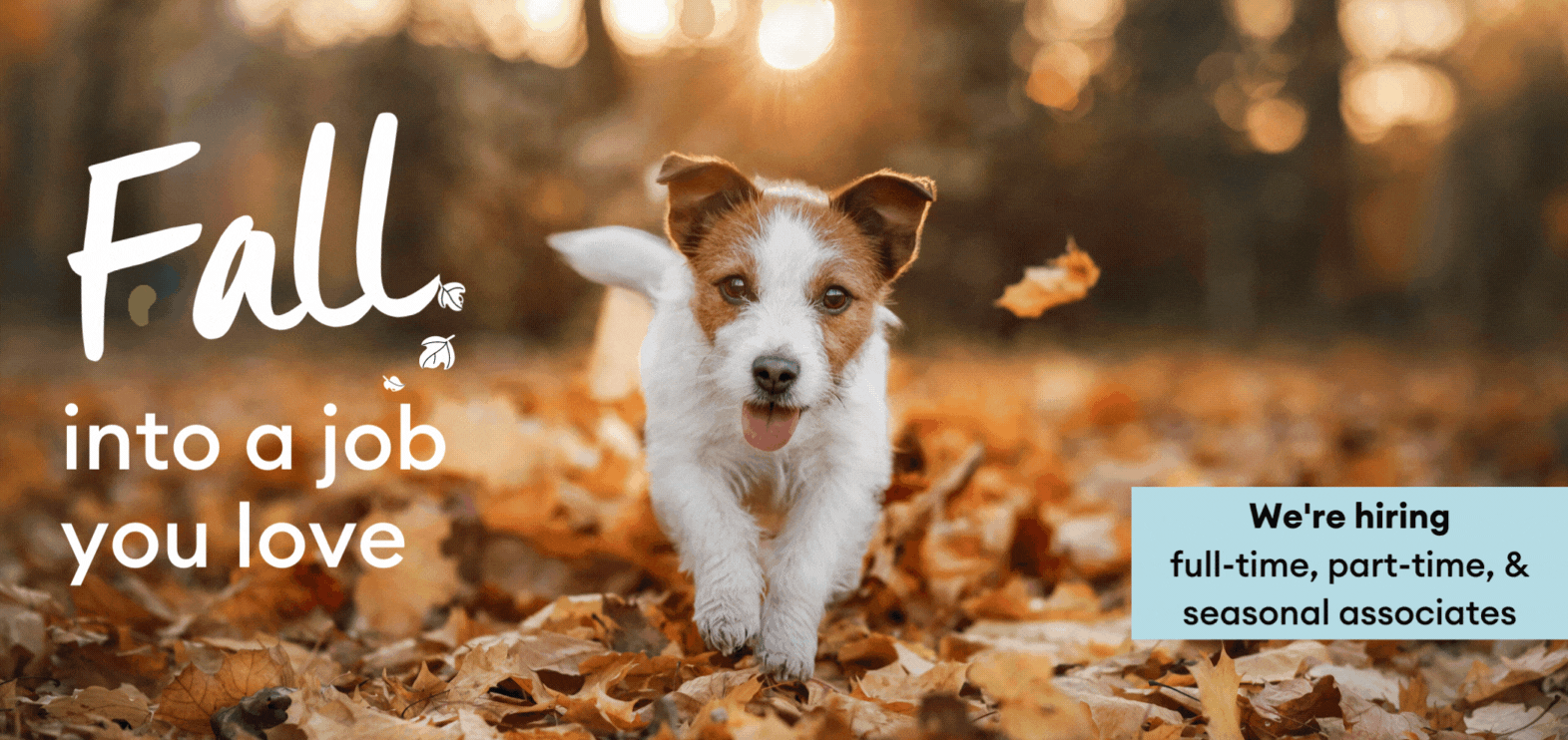 PetSmart Charities Careers At PetSmart Apply PetSmart Charities Careers At PetSmart Apply